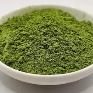 Matcha Japonés Grado Barista Rin - Garuda Teas